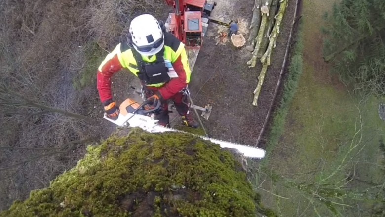 Polski zmechanizowany drwal, czyli chłop, który ma jaja ze stali!
